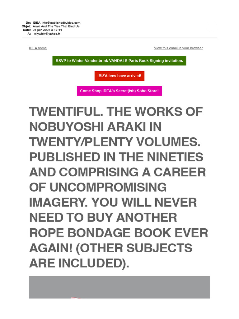 Araki And The Ties That Bind Us | PDF