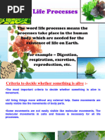 LIFE PROCESSES Grade 10 | PDF | Digestion | Nutrition