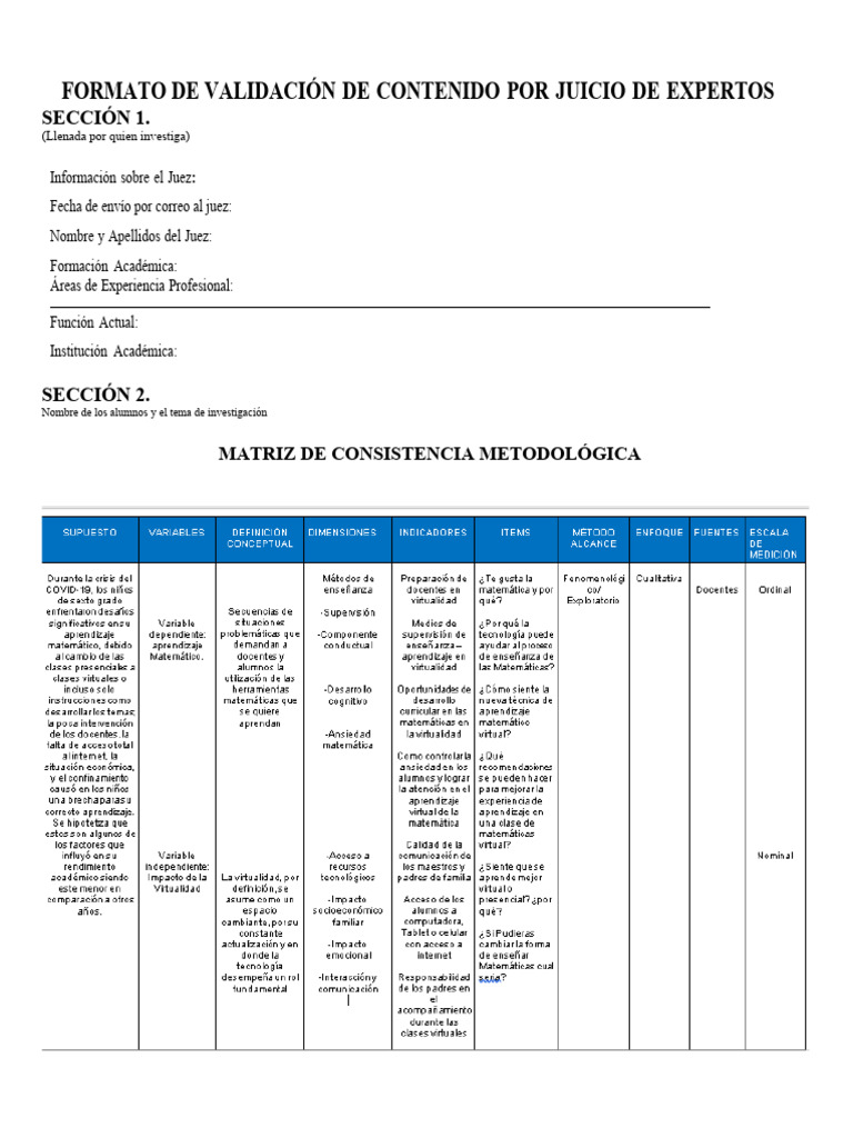 Formato Juicio de Expertos | PDF | Cognición