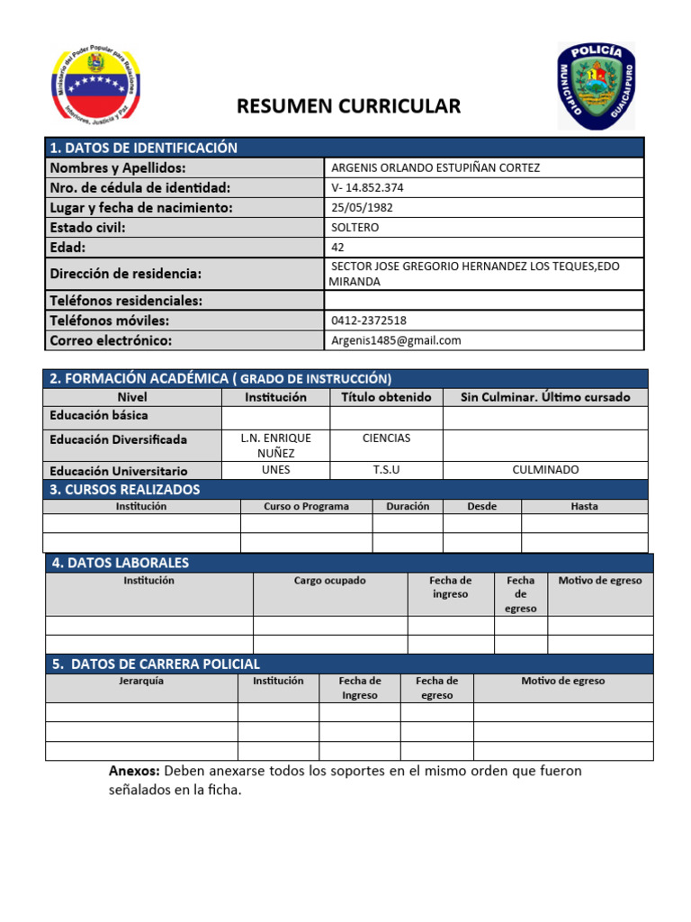 Formato de Resumen Curricular | PDF