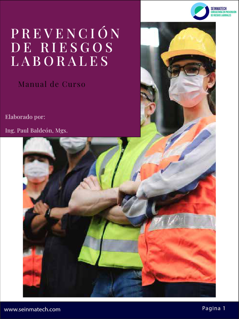 Manual Prl | Descargar gratis PDF | Riesgo