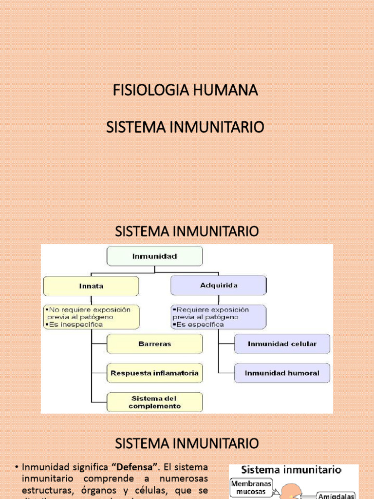 Sistema Inmunitario | Descargar gratis PDF | Sistema inmune | Sistema inmunitario adaptativo