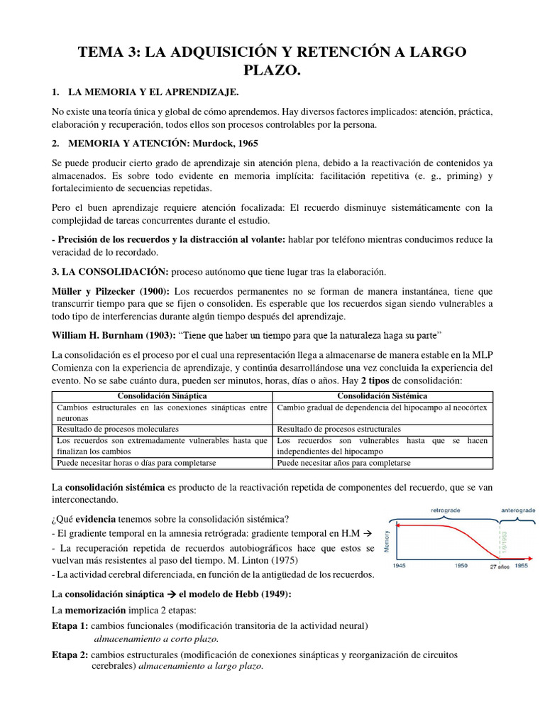 Wuolah Free TEMA 3 MEMORIA Gulag Free | PDF | Memoria | Dormir