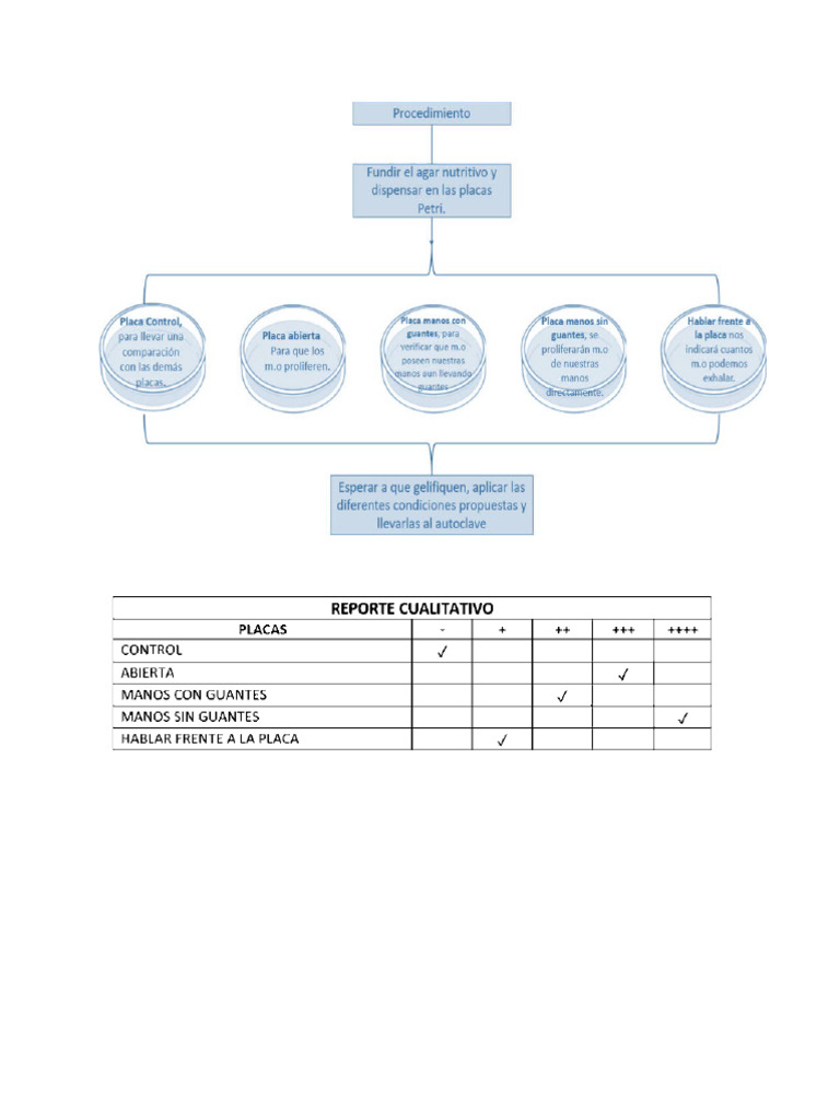 Procedimiento Informe 4 | PDF