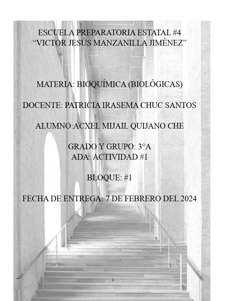 Ada 1 - Bioquim | PDF | Carbohidratos | Polisacárido