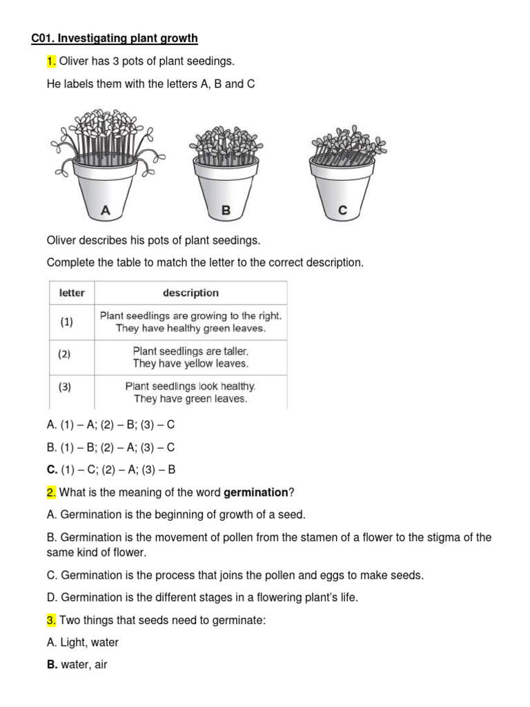 C01. Investigating Plant Growth | PDF | Flowers | Petal