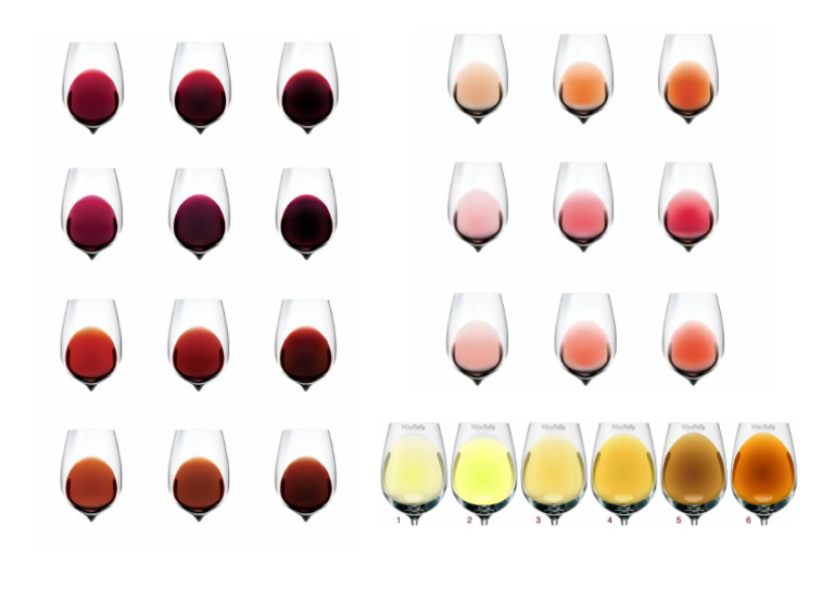 Wine Colors | PDF