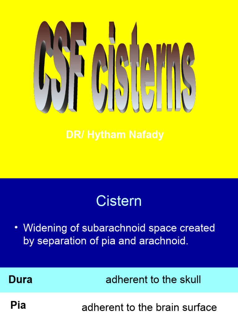 CSF Cisterns | PDF | Cerebrospinal Fluid | Brain