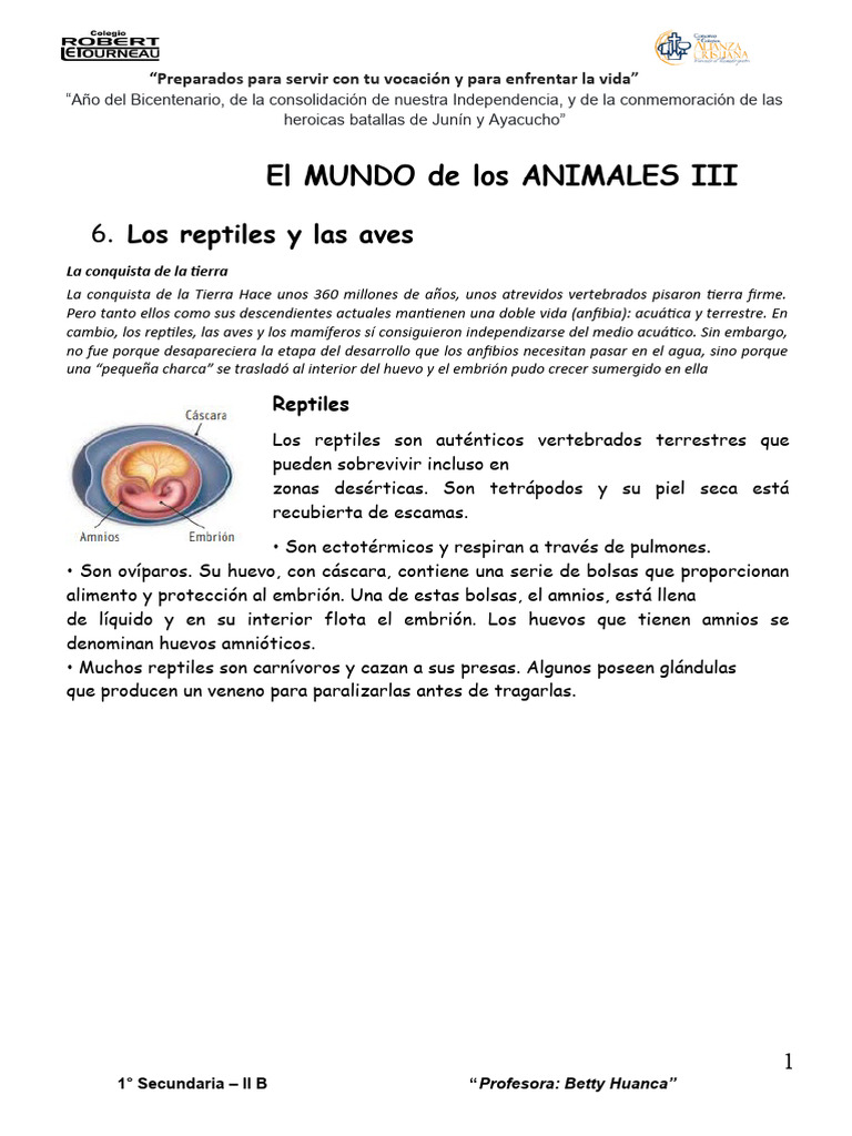 Características de Sauropsidos | PDF | Reptil | Mamíferos