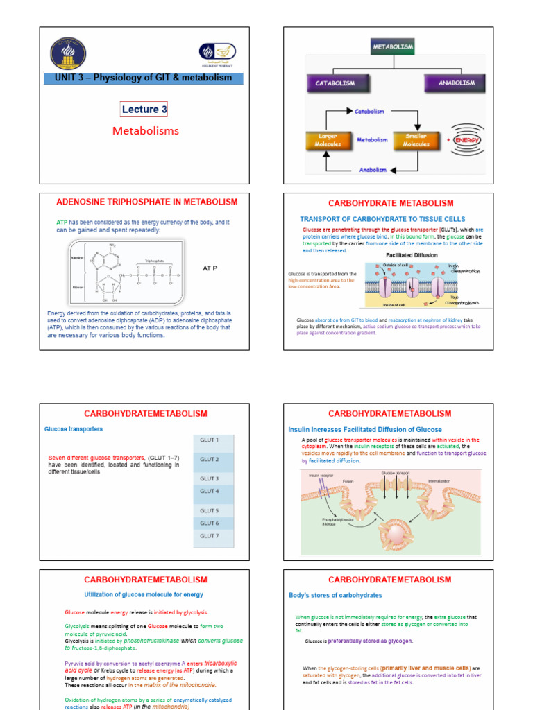 GIT Lecture 3 Unit 3 2023 | PDF | Glucose | Metabolism GIT Lecture 3 Unit 3 2023 | PDF | Glucose | Metabolism