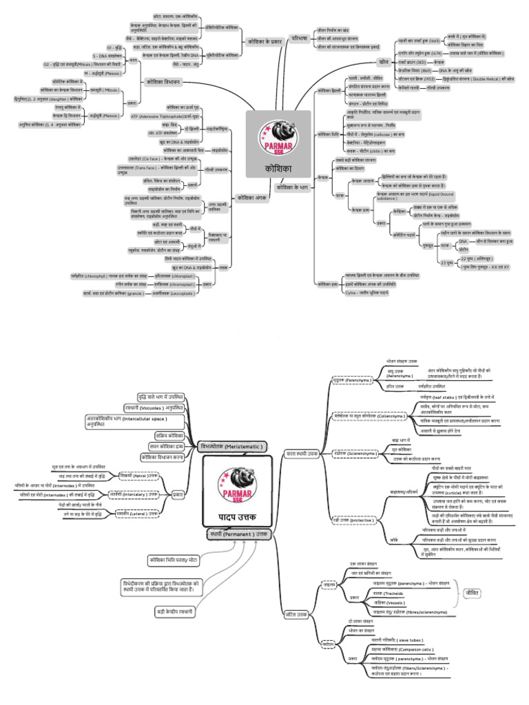 Biology Mind Maps (Hindi) | PDF