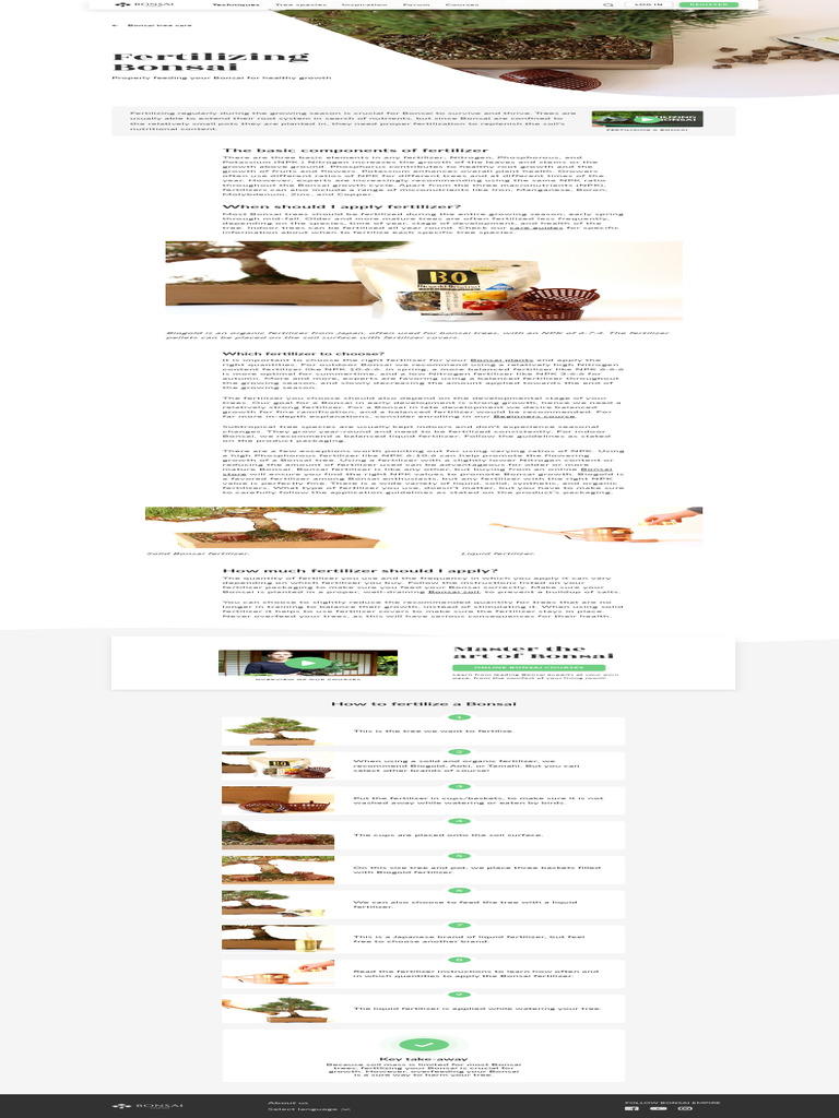 Fertilizing Bonsai, Feeding Is Crucial For Trees - Bonsai Empire | PDF ...