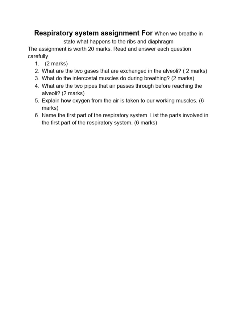 Respiratory System Assignment | PDF | Science & Mathematics