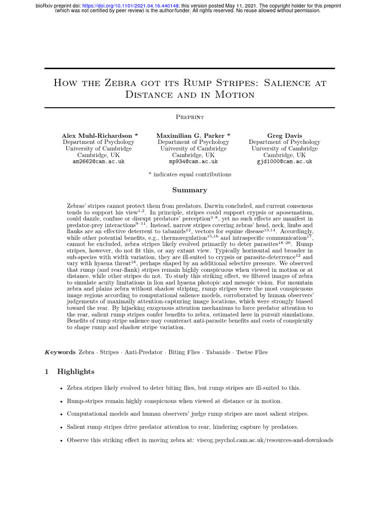 How The Zebra Got Its Rump Stripes - Salience at Distance and in Motion ...