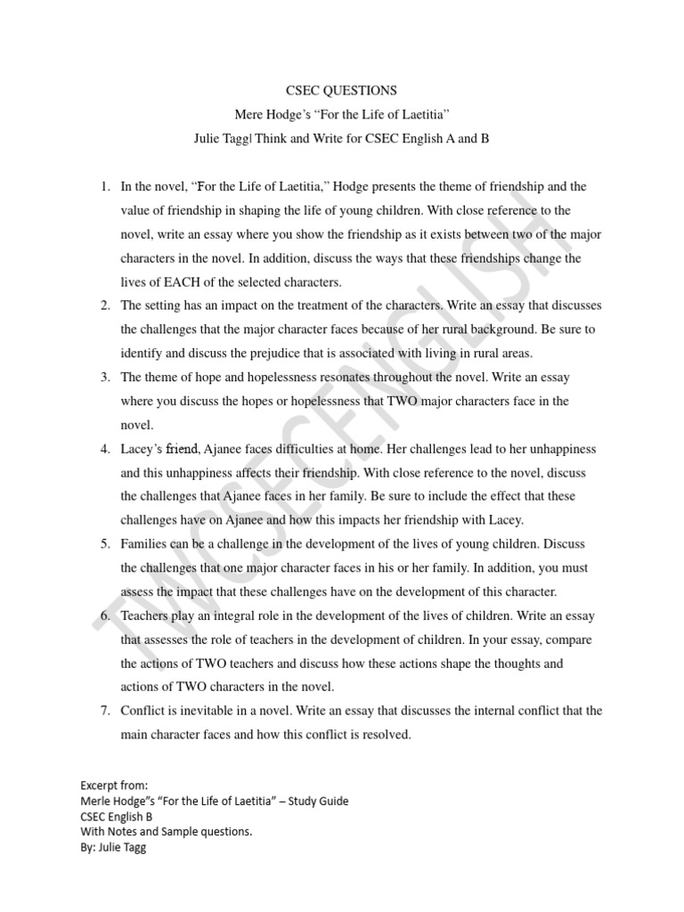Study Guide for "For the Life of Laetitia" | PDF | Essays ...