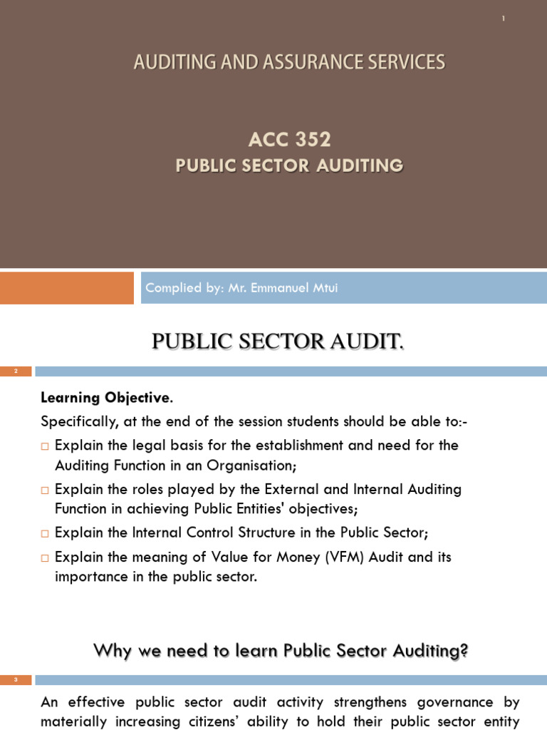 Understanding Public Sector Auditing | PDF | Audit | Auditor's Report