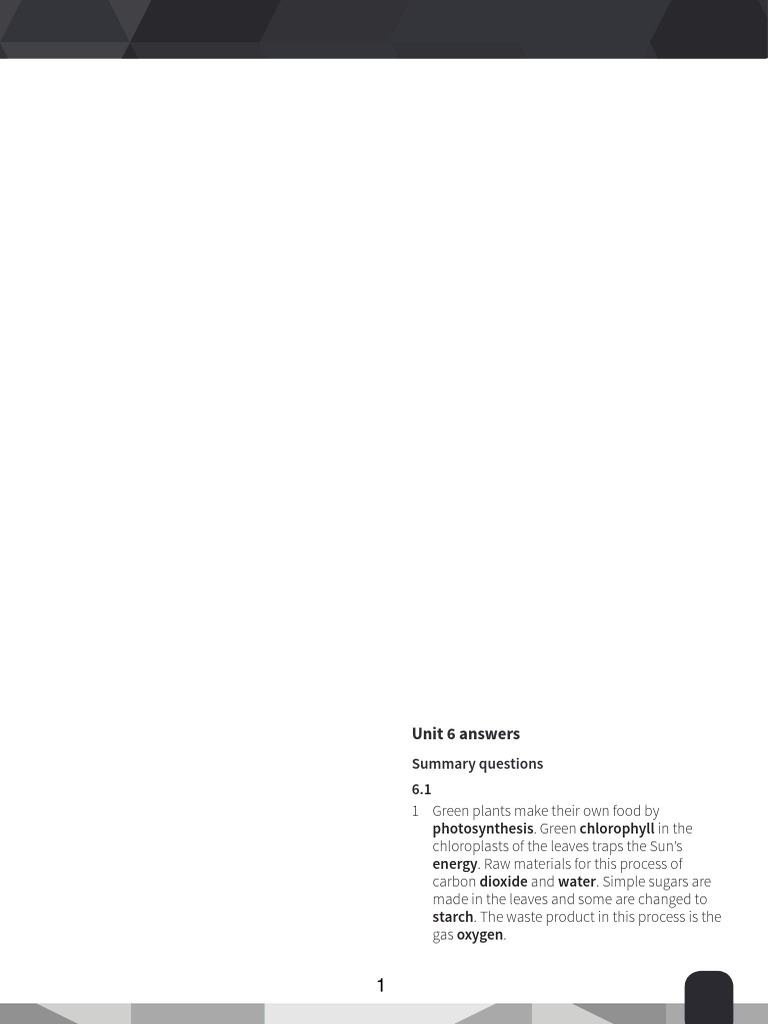 Summary Questions With Answers Chapter 6 Biology 6 | PDF | Leaf ...