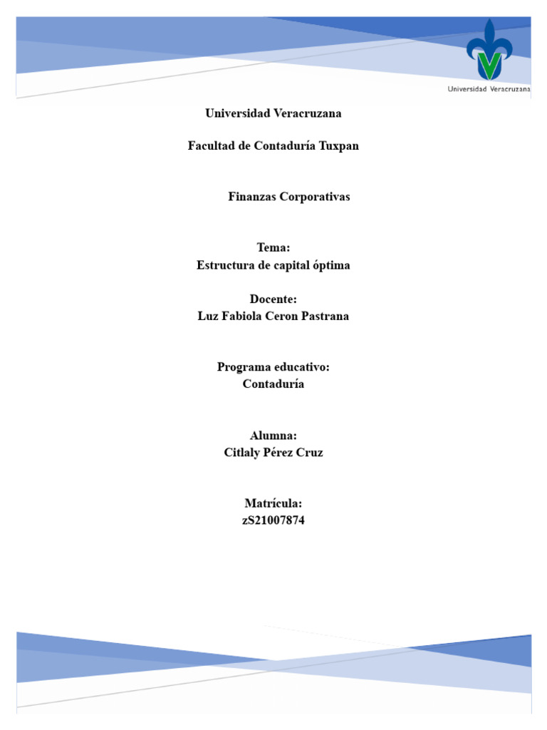 Mapa Conceptual Estructura De Capital Optima