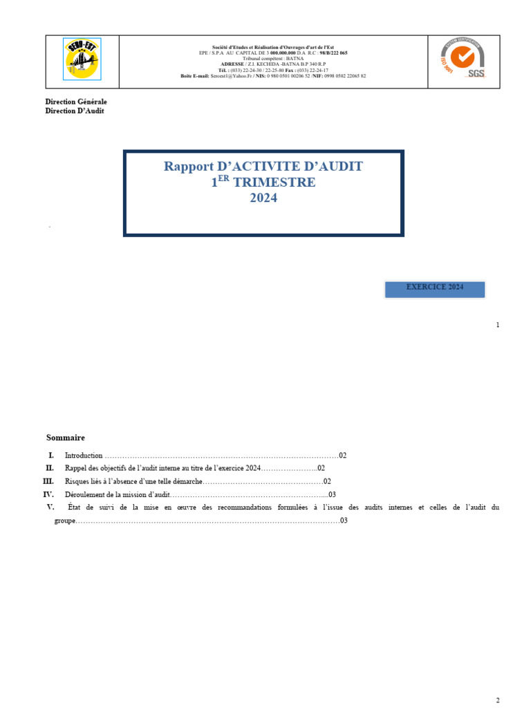RAPPORT D'activité D'audit | PDF | Audit | Comptabilité