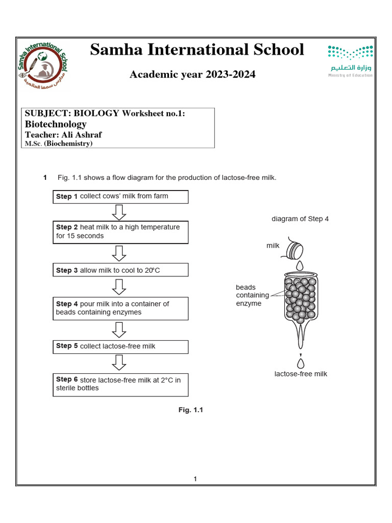 Biotechnology and Genetic Modification Worksheet No.1 | PDF | Plasmid ... Biotechnology and Genetic Modification Worksheet No.1 | PDF | Plasmid ...