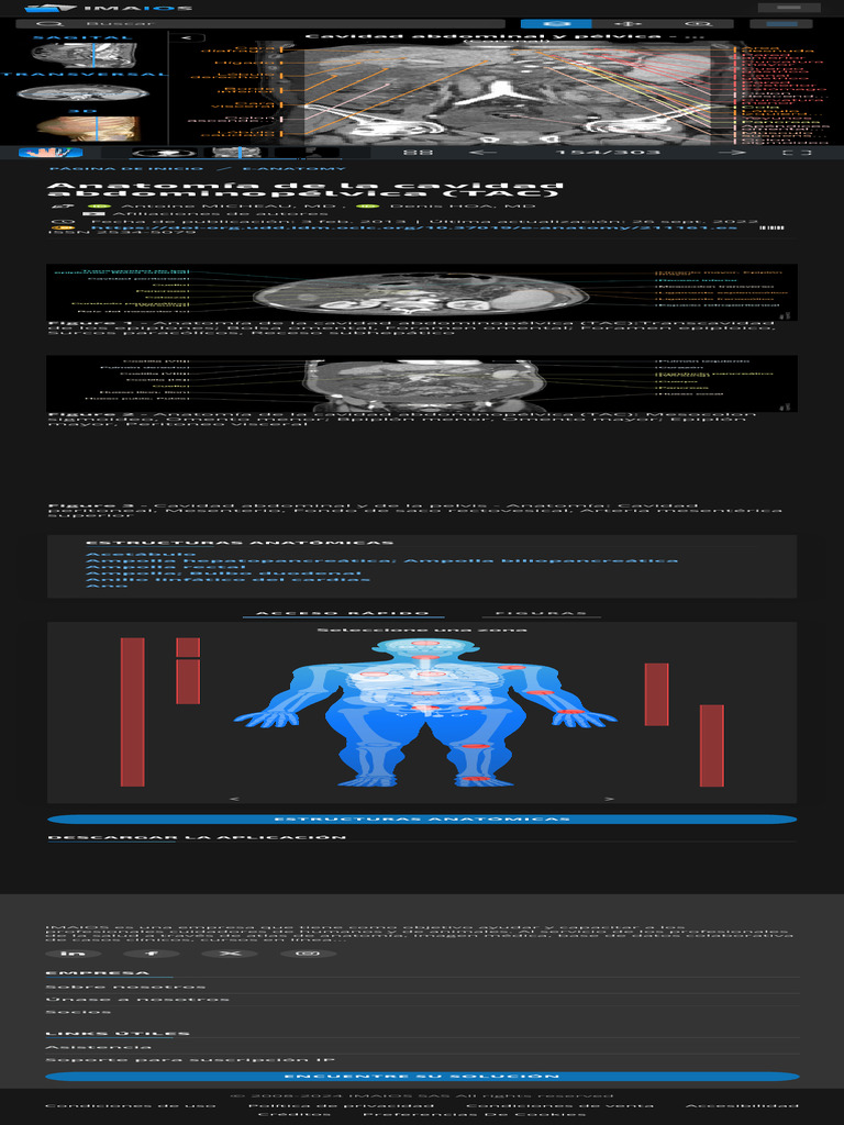 Cavidad Abdominal Y Pélvica Anatomía Normal E Anatomy Pdf
