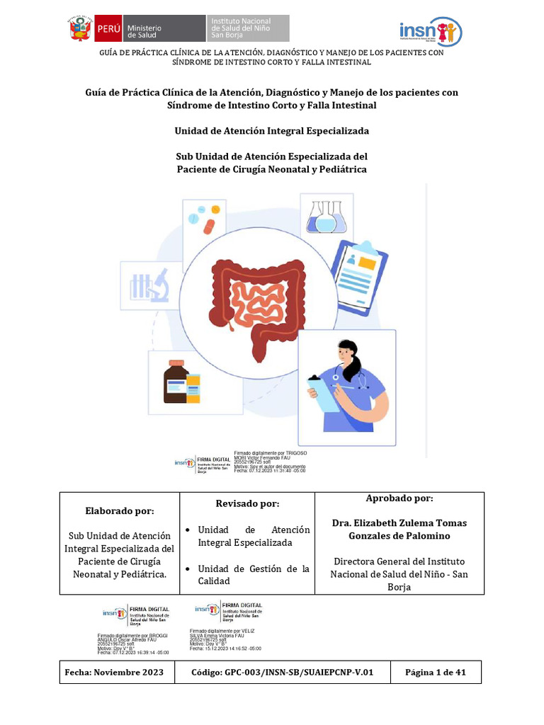 Guia de Practica Clinica - Sindrome de Instestino Corto y Falla ...