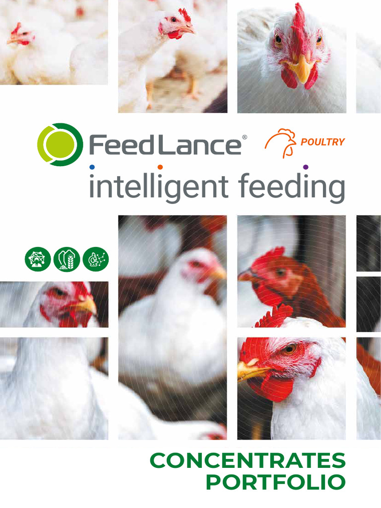 Feedlance Product Information_brochure | PDF | Poultry Farming | Digestion
