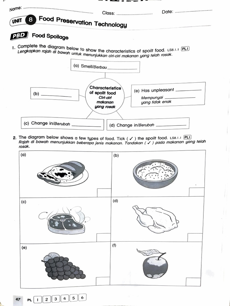 Science Y6 Worksheet | PDF