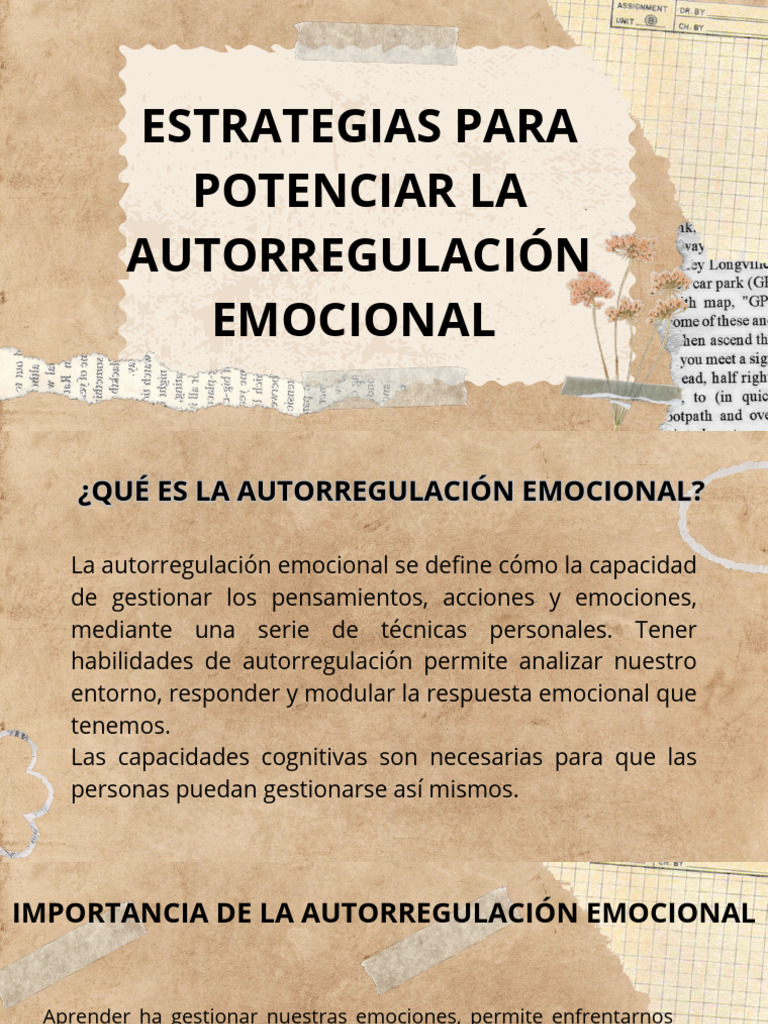 Estrategias para Potenciar La Autorregulación | PDF | Autorregulación ...