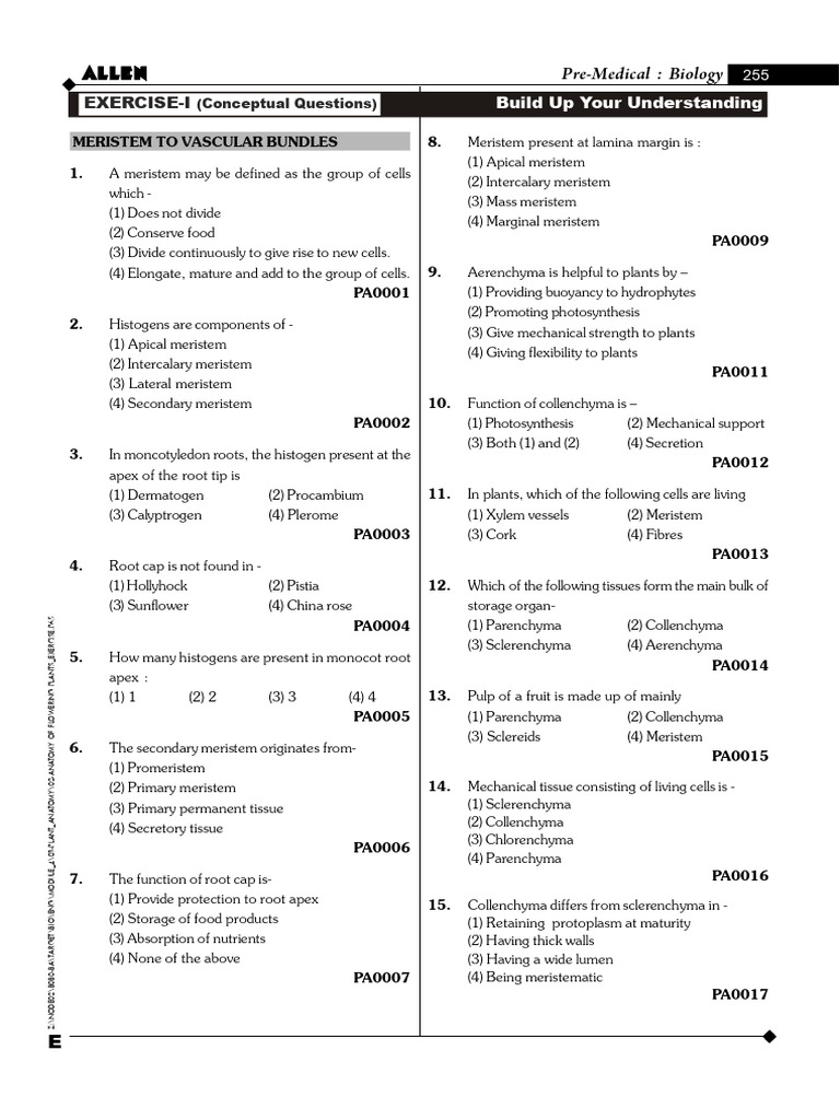Anatomy Exercise | PDF | Plant Stem | Tissue (Biology)