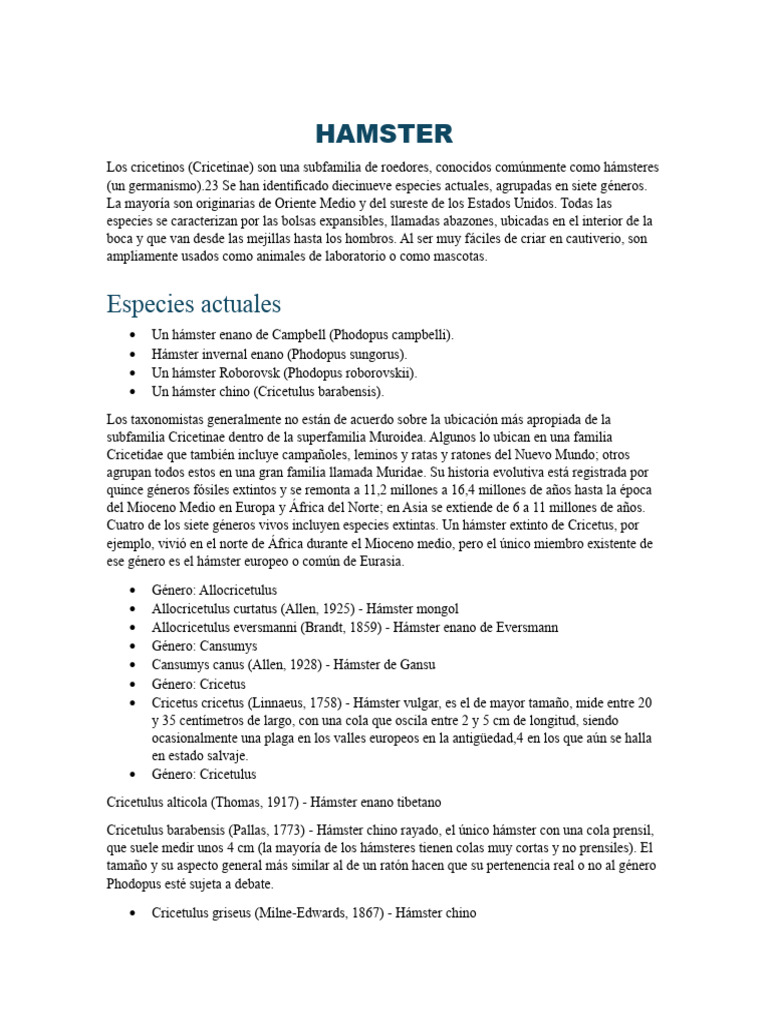 HAMSTER | PDF | Cricetidae