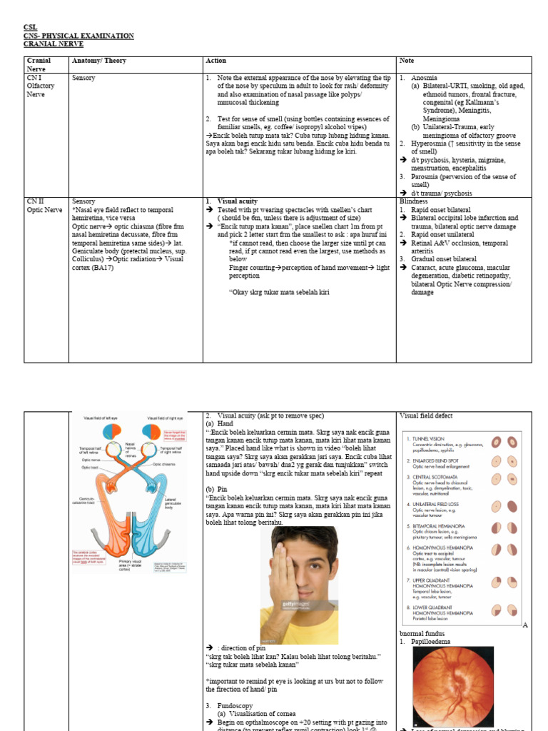 Cranial Nerve - CNA | PDF | Ear | Human Head And Neck