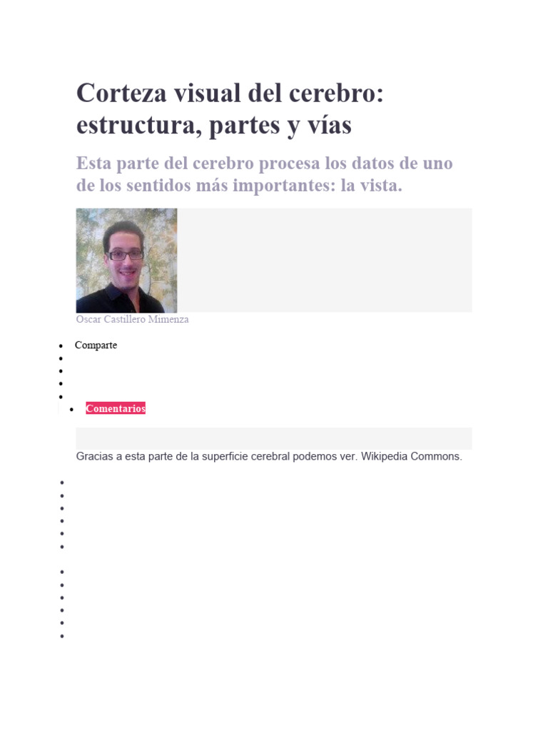 Corteza Visual Del Cerebro | PDF | Corteza visual | Percepción visual