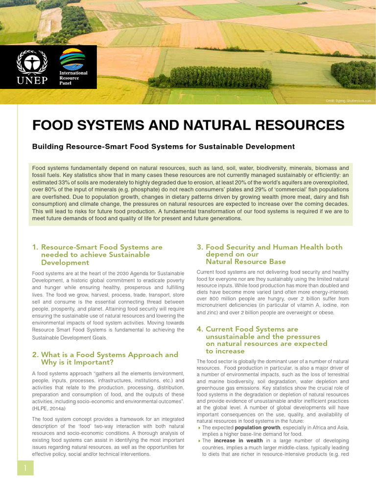 Food Systems Factsheet English Pdf Sustainability Agriculture