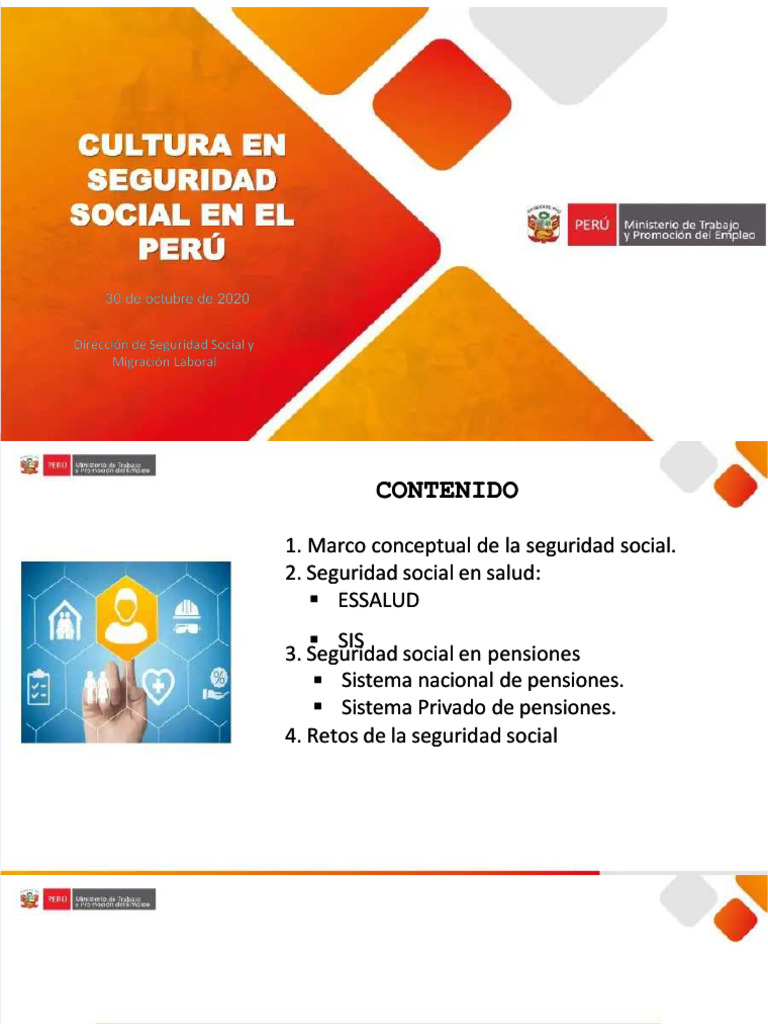 PDF Presentacion Cultura en Seguridad Social - Compress | PDF