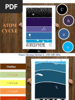 02 Biogeochem Cycles - Black and White | PDF | Nitrogen | Phosphorus