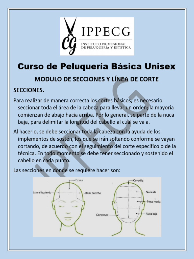 Modulo Secciones y Linea de Corte 2024 | PDF