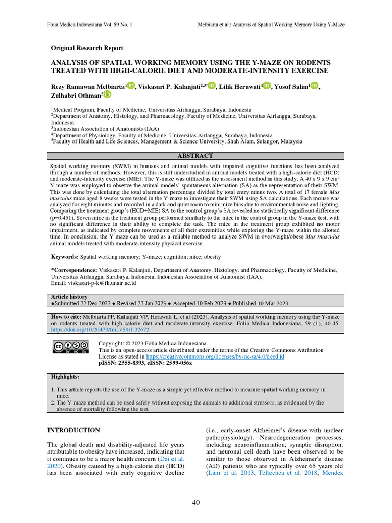 Analysis of Spatial Working Memory Using The Y-Maze On Rodents | PDF | Working Memory | Model ...