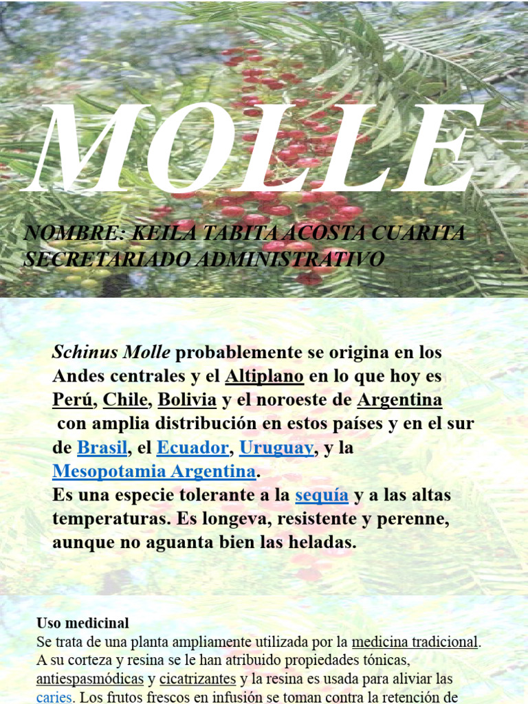 Molle | PDF