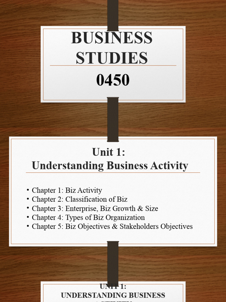 Chapter 1 (Business Activity) | PDF | Goods | Final Good