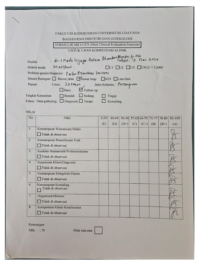 Form Minicex 10 PPI | PDF