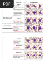 Lymphocyte Morphology | PDF | Lymphocyte | Medical Specialties