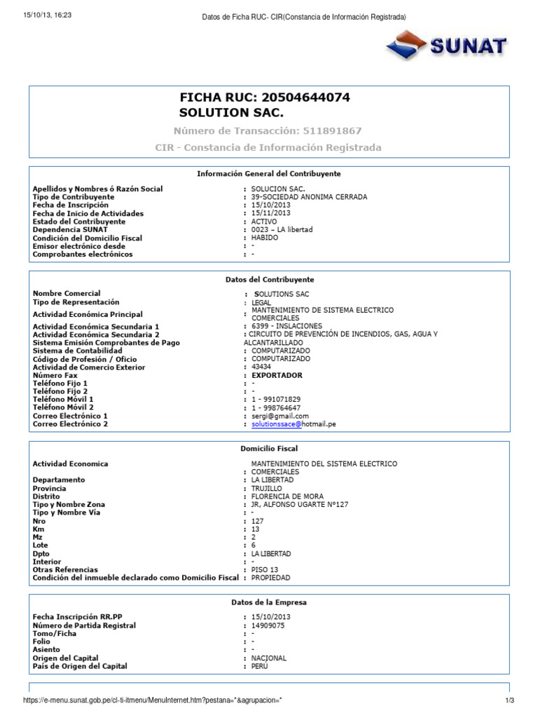 Ficha Ruc | PDF | Industrias de servicio
