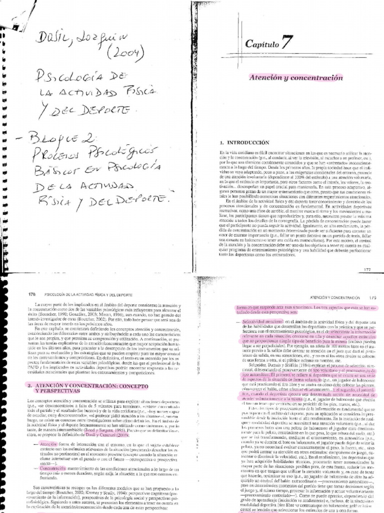 Dosil Cap7 Atencion Concentracion | PDF