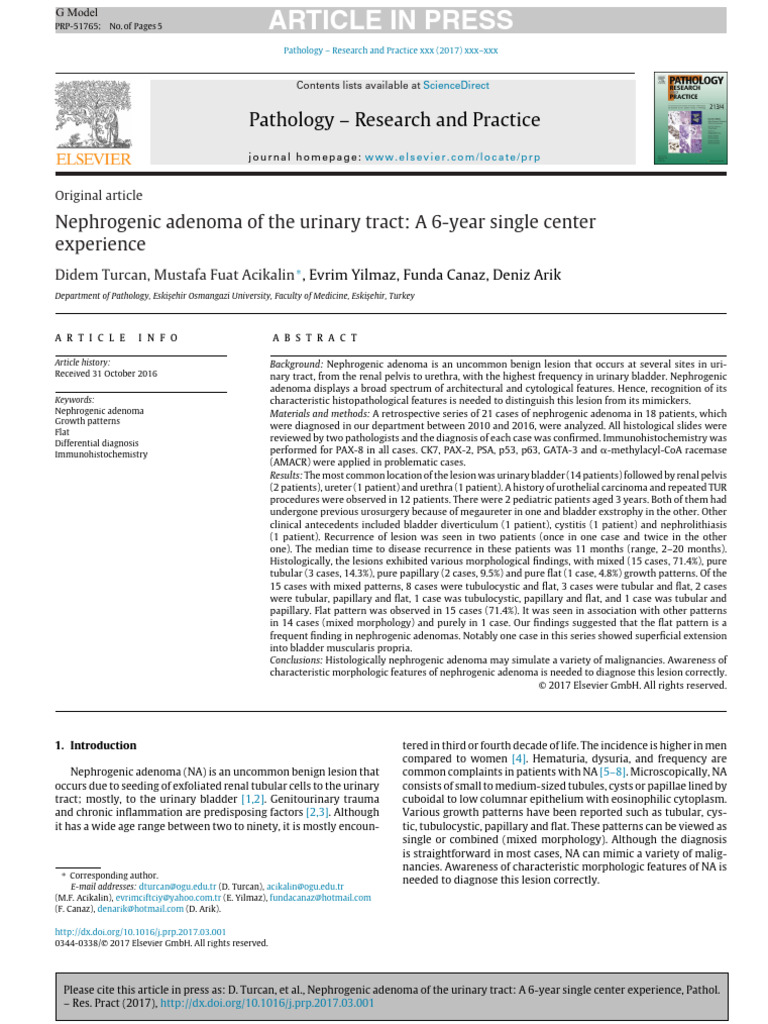 Nephrogenic Adenoma of The Urinary Tract - A 6-Year Single Center ...