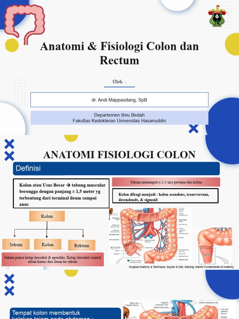 Anatomi Fisiologi Kolon & Rektum | PDF