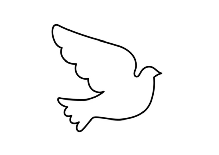 Palomas Celestes y Blancas | PDF