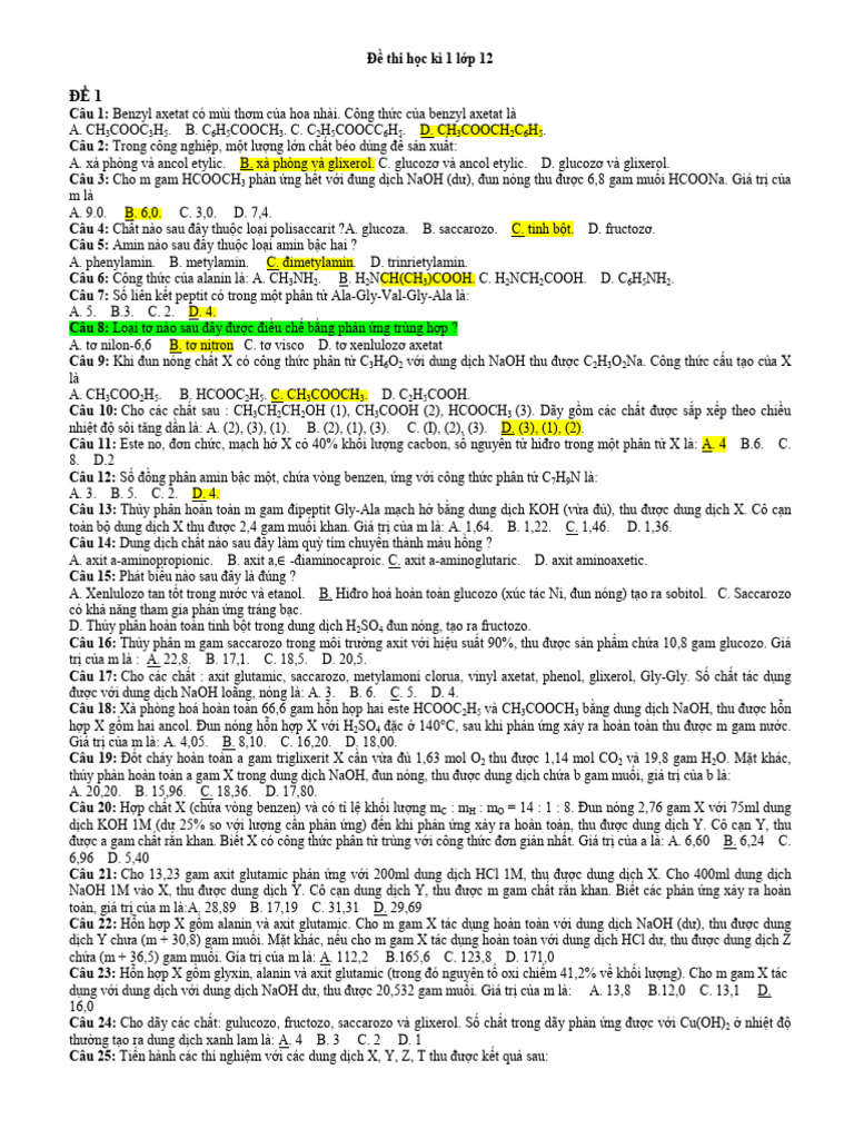 Dap an de Ôn Hk1 -23 | PDF