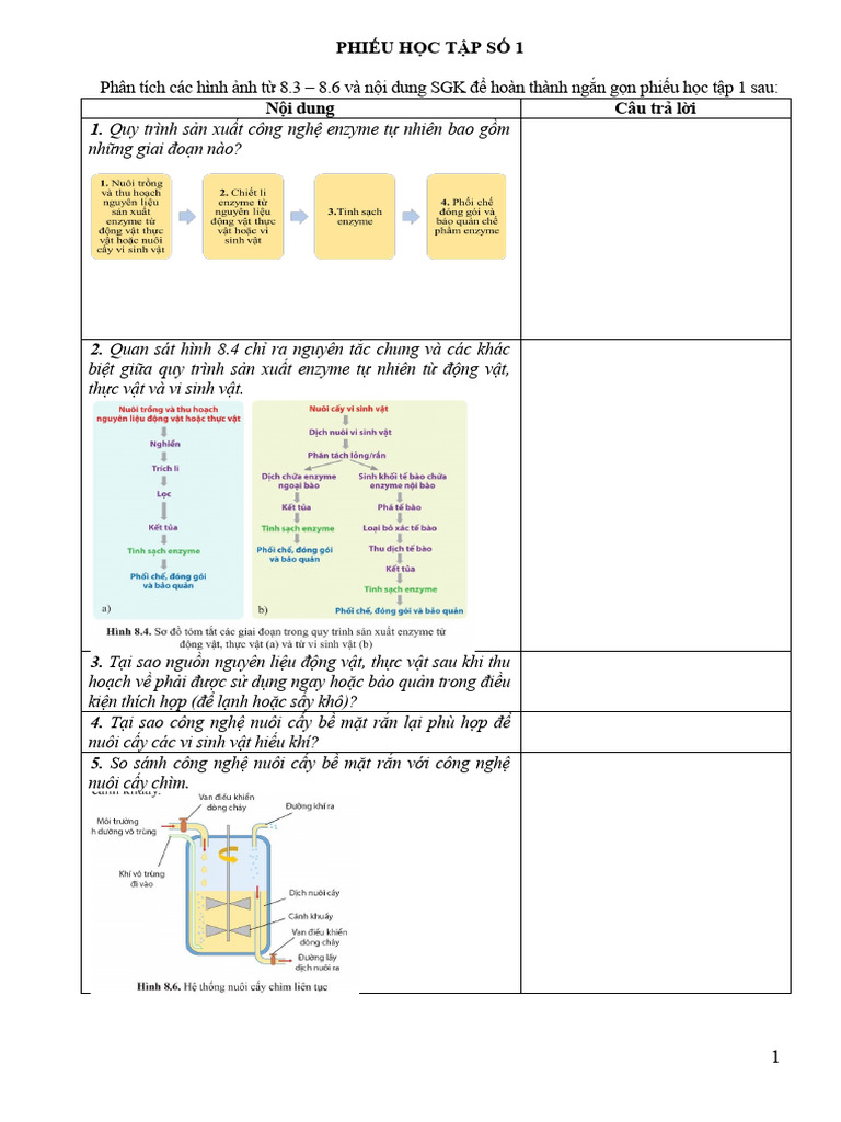 Tiet 4243 - San Xuat Enzyme Tu Nhien - PHT | PDF
