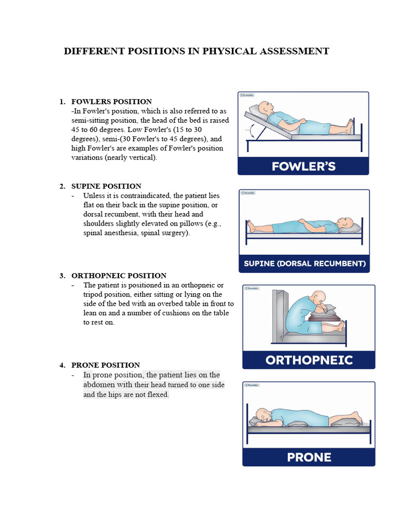 Different Positions in Physical Assessment | PDF | Anatomical Terms Of ...
